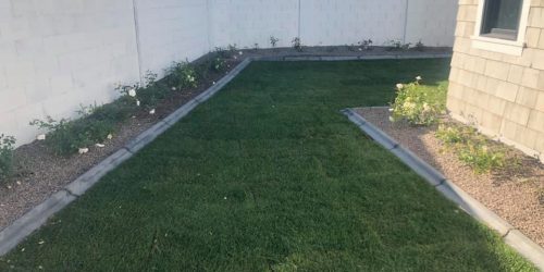 Sod Installation - Scottsdale, AZ Area - Free Estimate